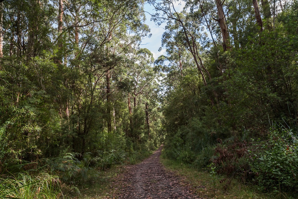 Short walks on the Great Ocean Walk